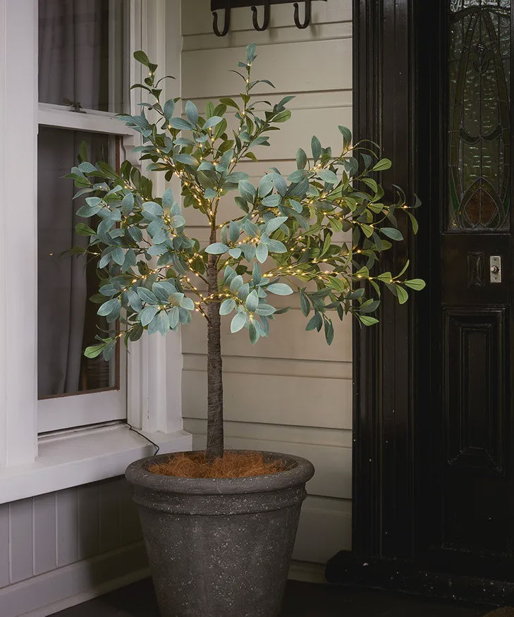 LED Olive Tree - Small – Jems of Remuera